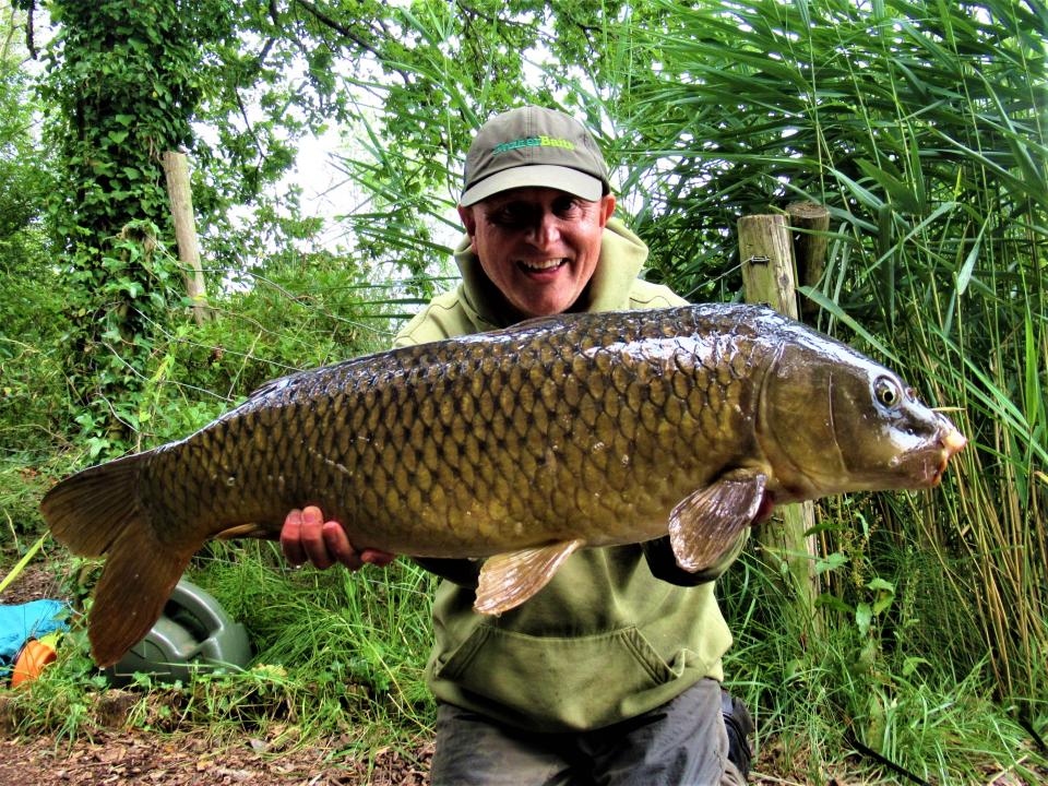 Day session Common | Total Carp
